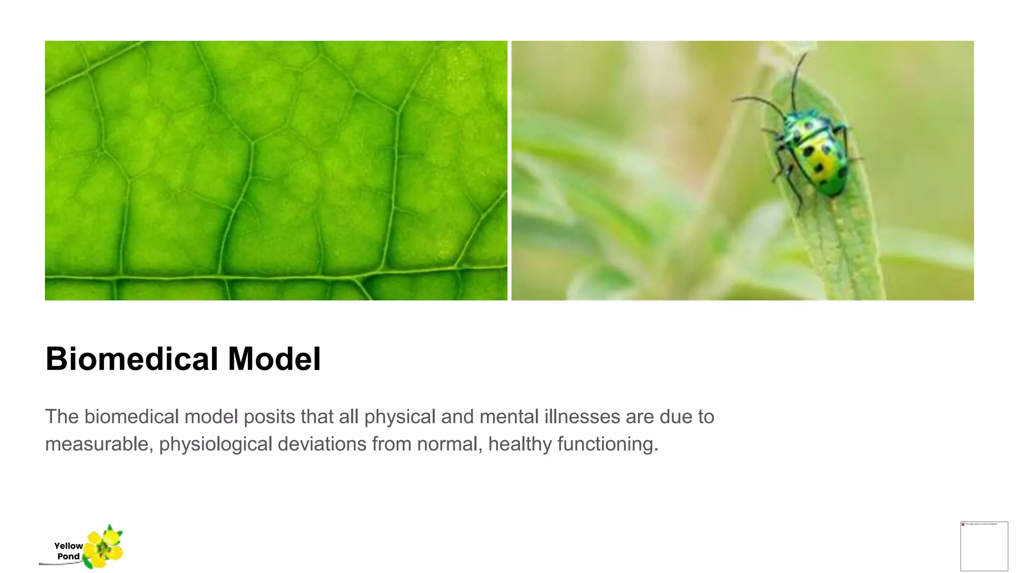 Stress management biomedical model | PPTX | Biological Sciences | Science