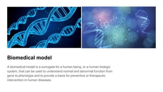 Stress management biomedical model | PPTX