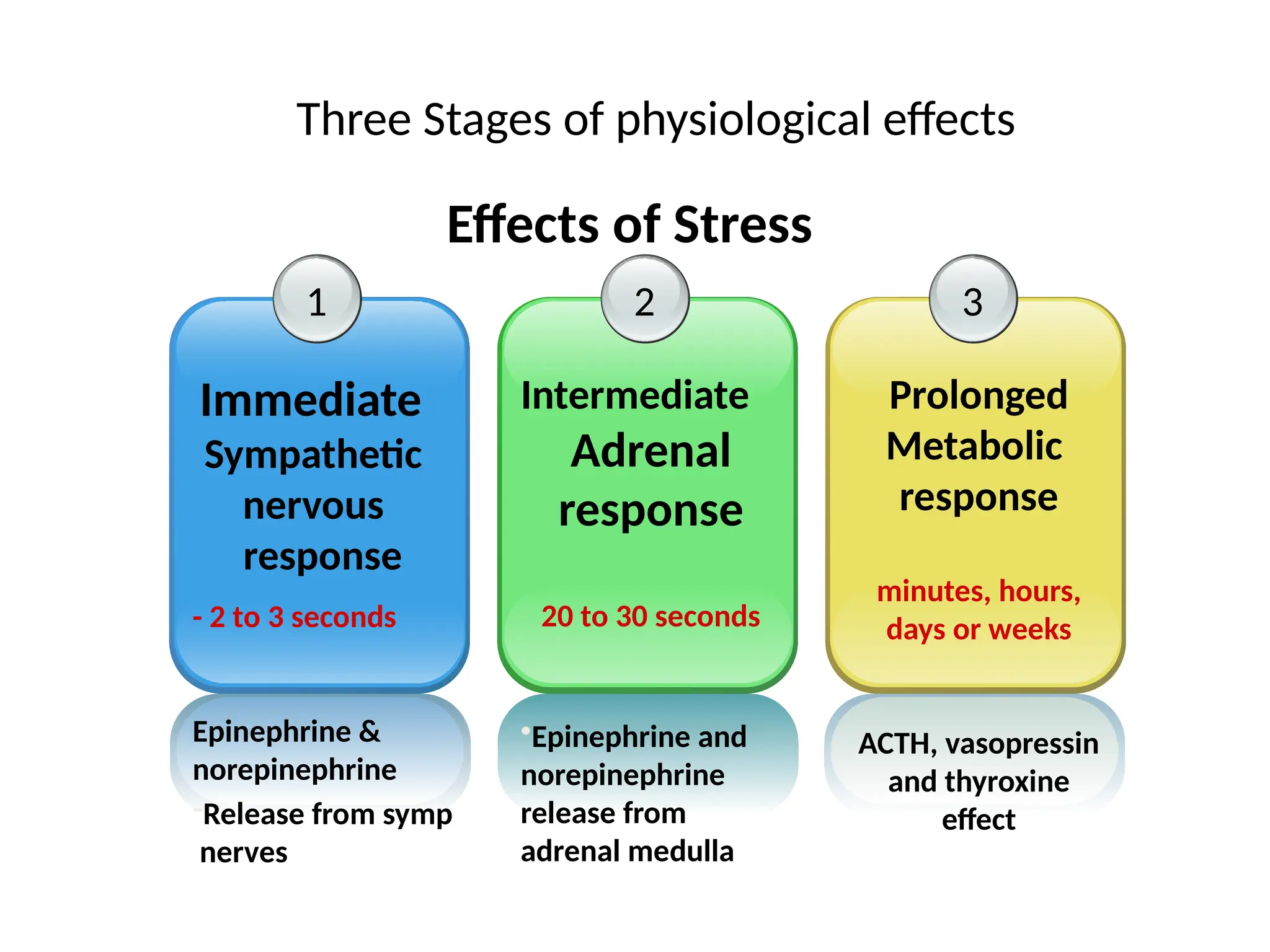 stress management 20000000000000000.pptx