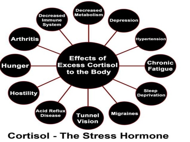 Stress Management & Anger Management Presentation 2018.pptx