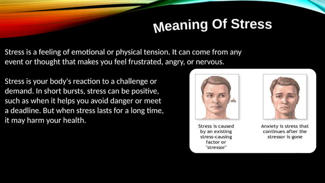 "Mastering Stress: Strategies for a Balanced Life" | PPT