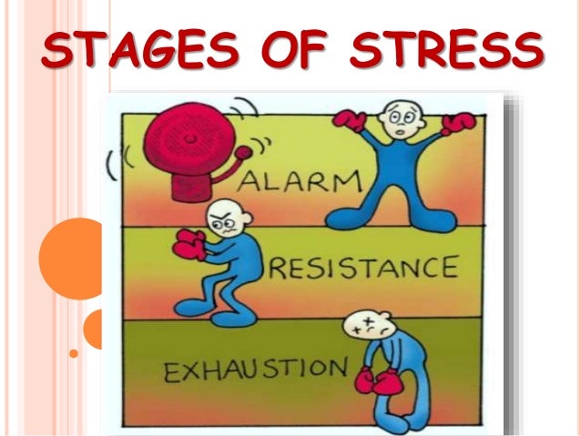 Stress management Sree