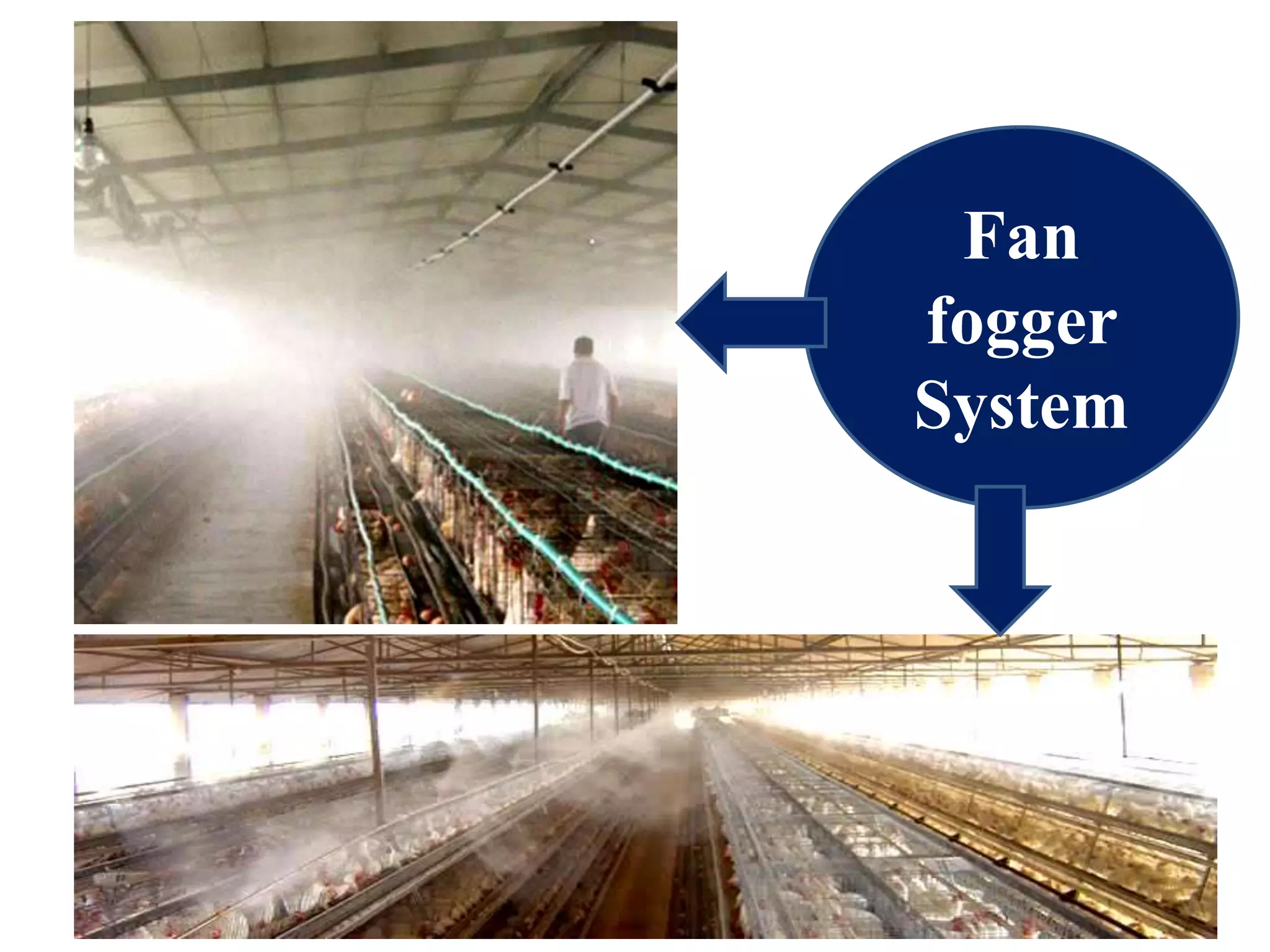 Stress Management in Poultry.pptx