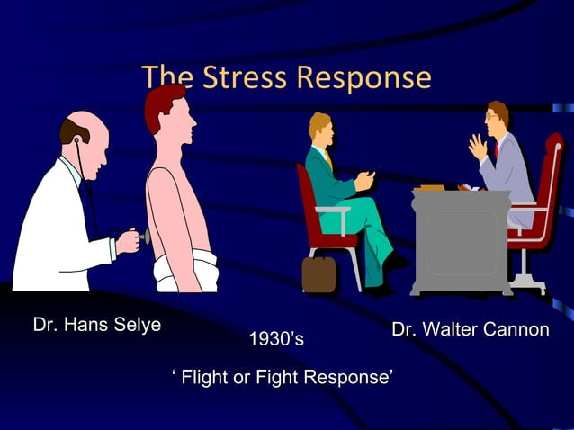 Stress Management Presentation | PPT | Mental Health | Diseases and ...