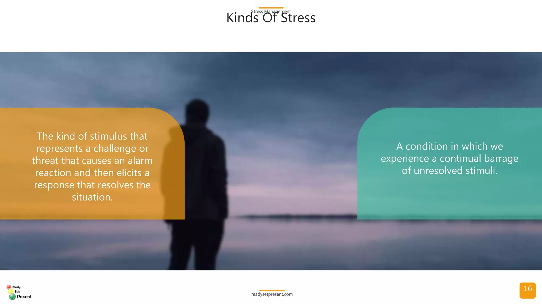 Stress Management (Comprehensive) PowerPoint Presentation 171 slides ...