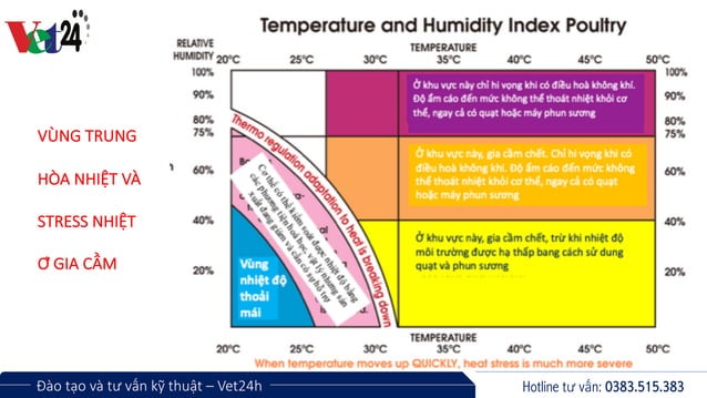 Stress nhiet tren gia cam vet24h | PPT