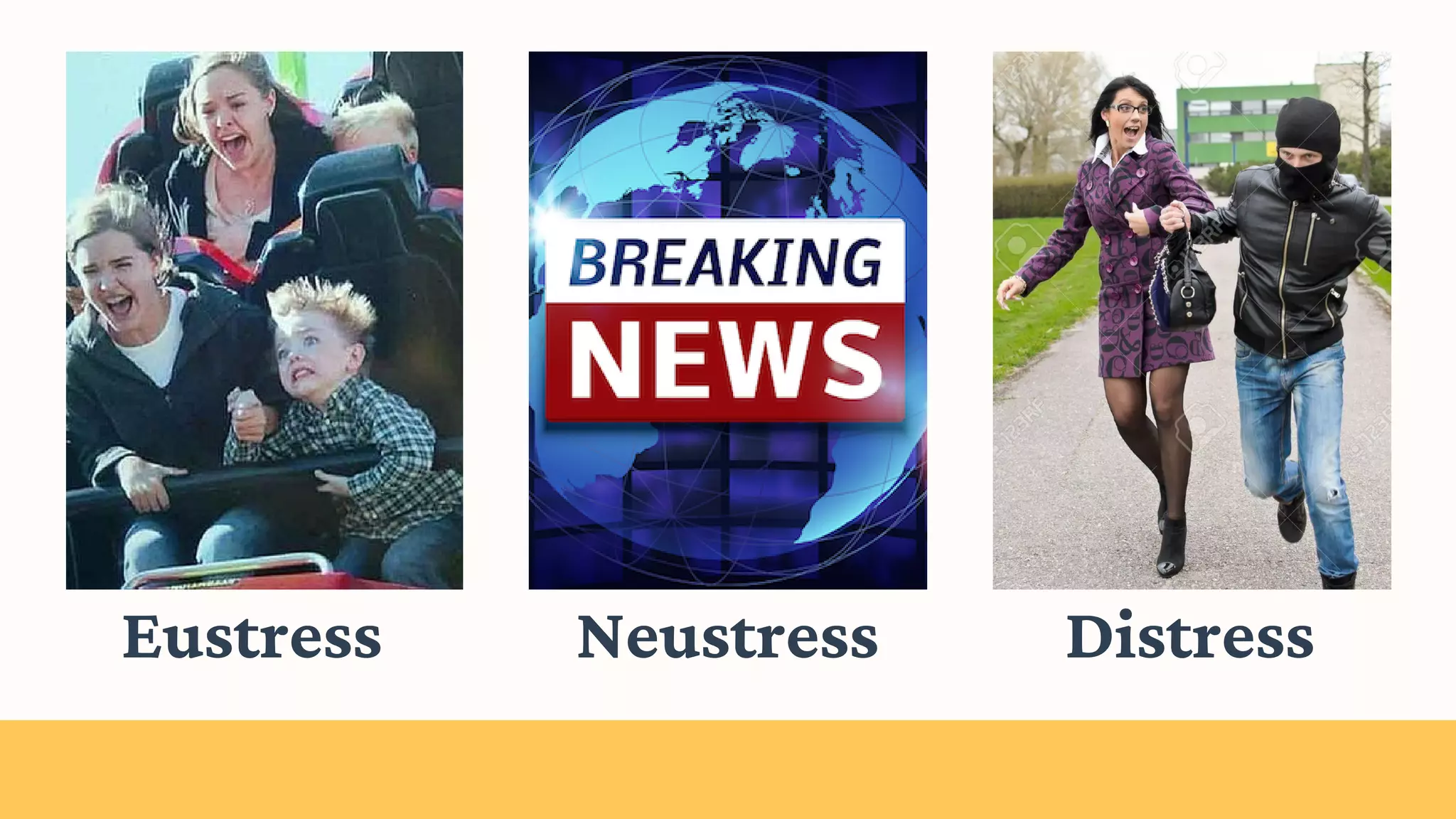 Stressors and Responses.pdf