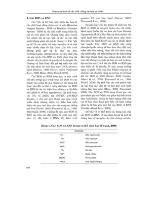 Stress oxy hóa và các chất oxy hóa | PDF
