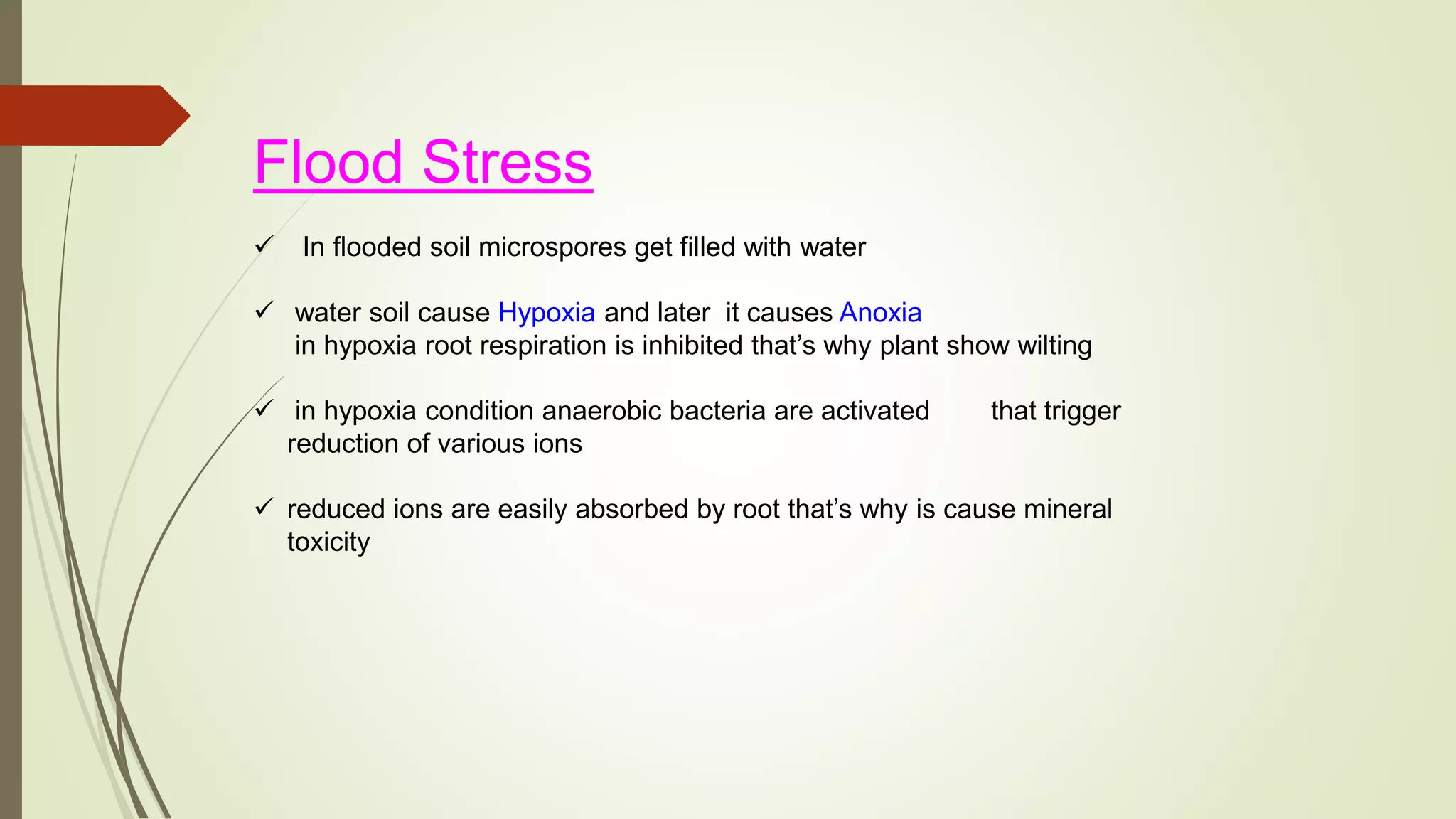 stress physiology.pptx