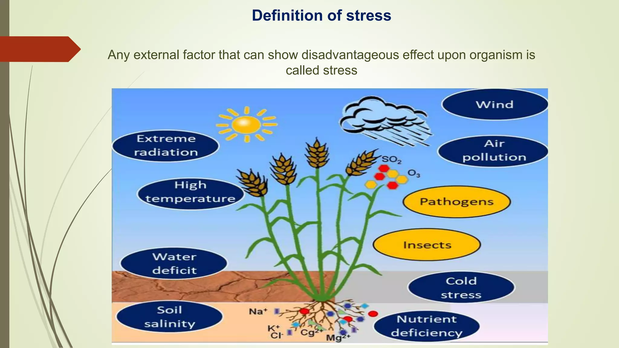 stress physiology.pptx
