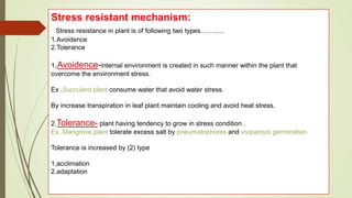 stress physiology.pptx