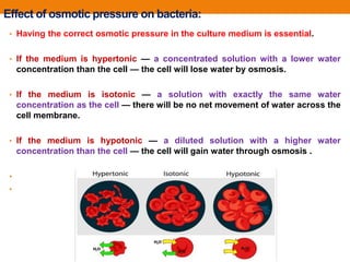 Stress physiology and extremophiles in microbes | PPTX