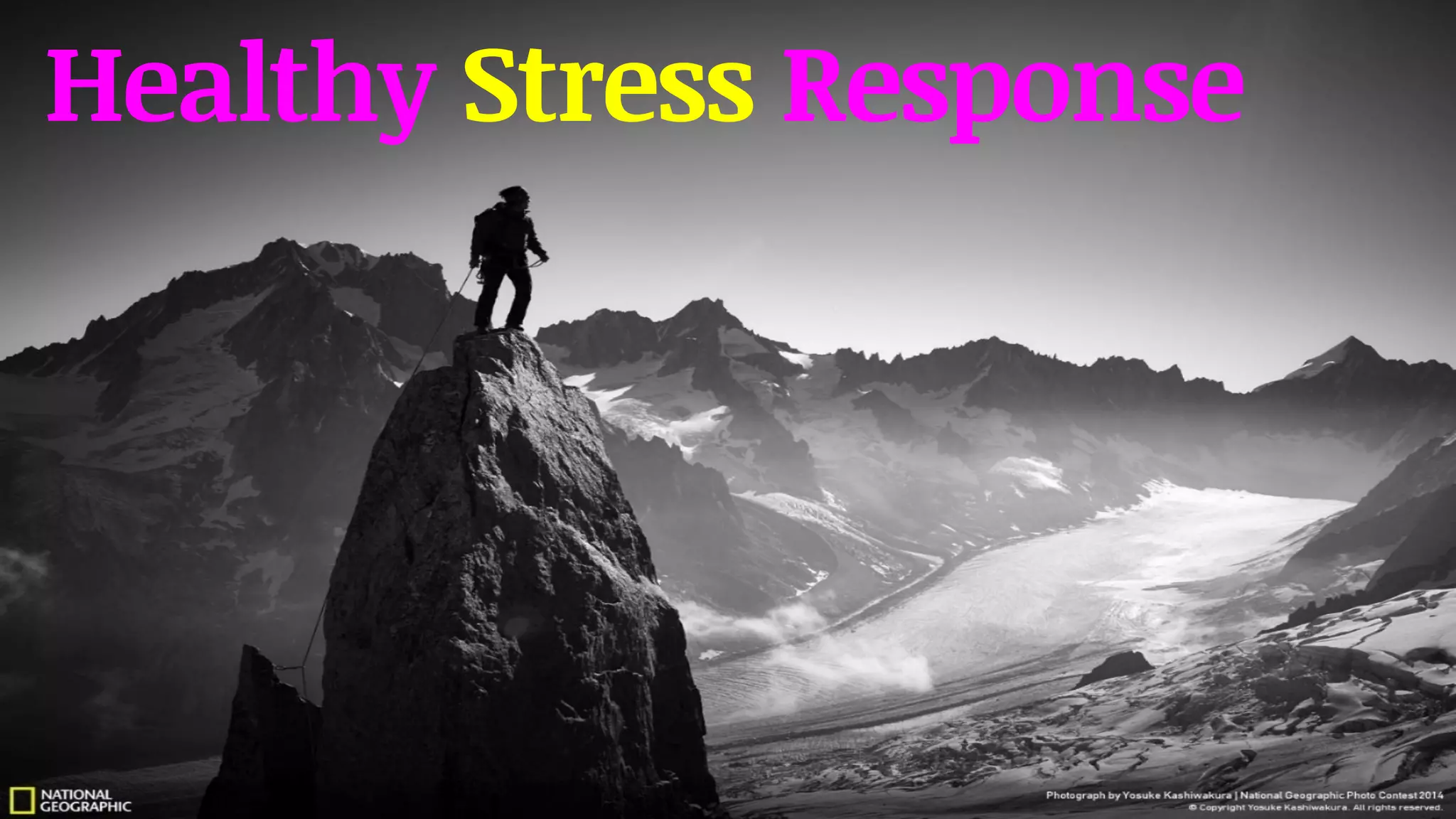 Stress is Our Friend Powerpoint | PDF
