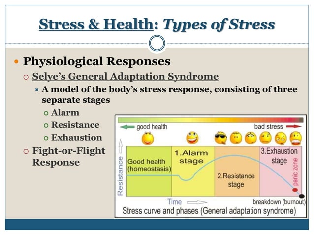 Stress powerpoint.pptx