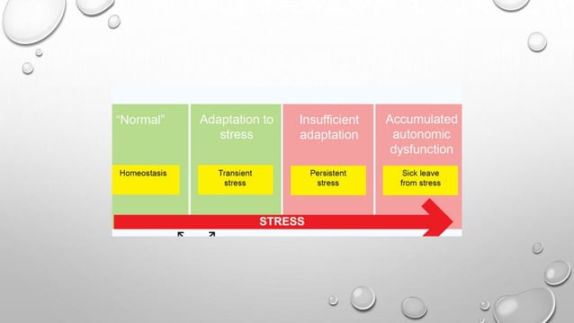 Stress presentation.pptx