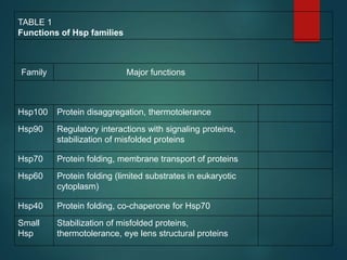 stress proteins and cancer.ppt