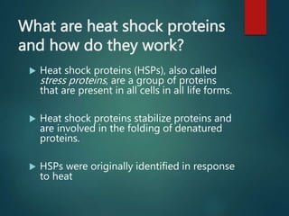stress proteins and cancer.ppt