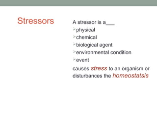 stress responses in human beings and physiology.ppt