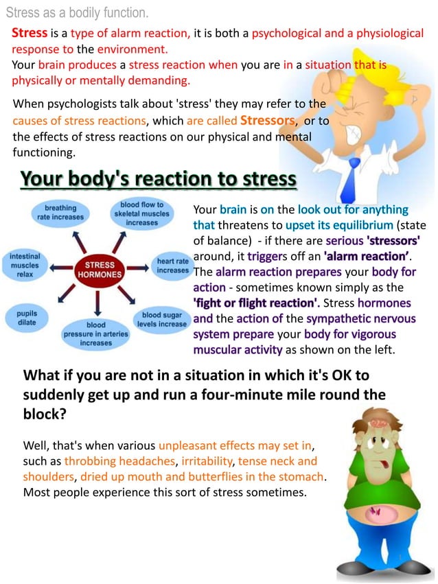 AQA ALevel Psychology A Unit 2 Stress revision guide | PDF