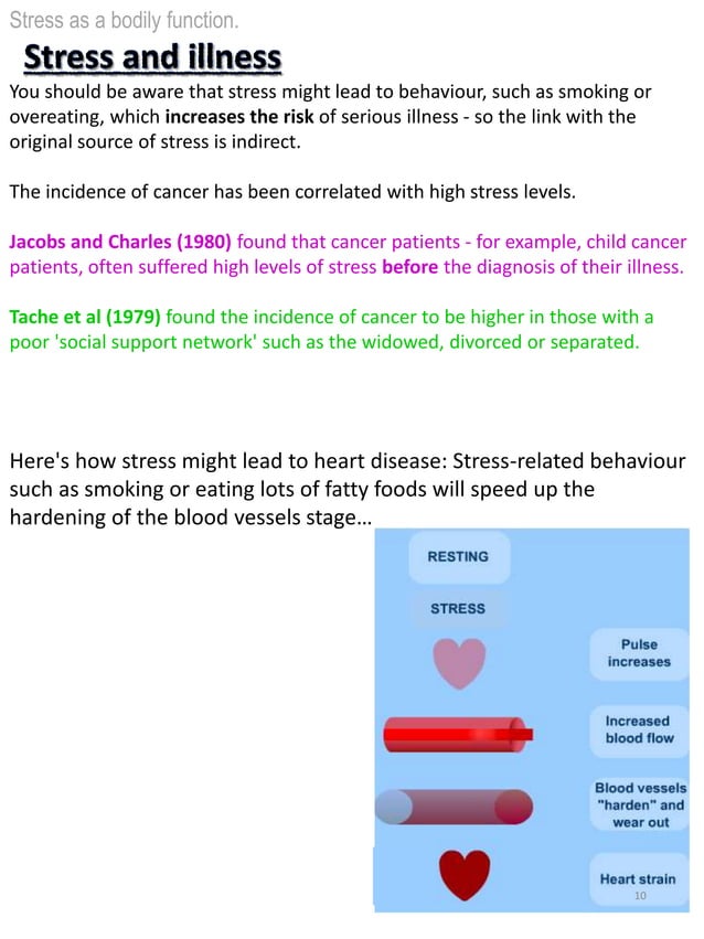 AQA ALevel Psychology A Unit 2 Stress revision guide | PDF