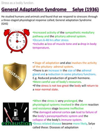 AQA ALevel Psychology A Unit 2 Stress revision guide | PDF