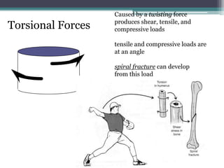 Introduction to Analysis of strain and strain in Human bone | PPTX