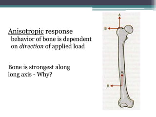 Introduction to Analysis of strain and strain in Human bone | PPTX