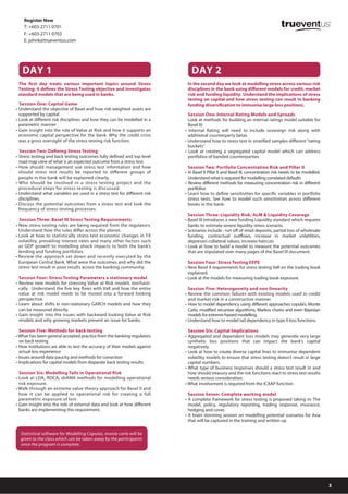 Stress Testing Masterclass Johnk | PDF