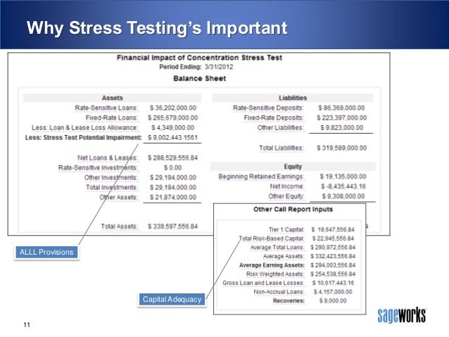 Stress Testing the Loan Portfolio