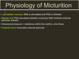 Stress urinary incontinance | PPT