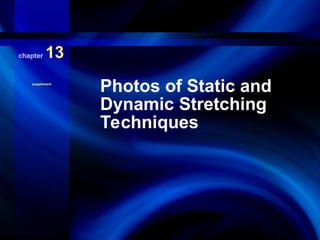 stretching exercises can stimulate the muscle | PPT