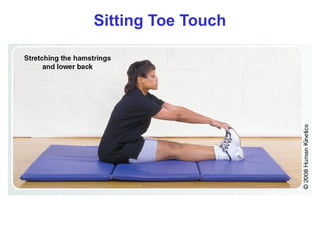stretching exercises can stimulate the muscle | PPT