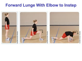 stretching exercises can stimulate the muscle | PPT