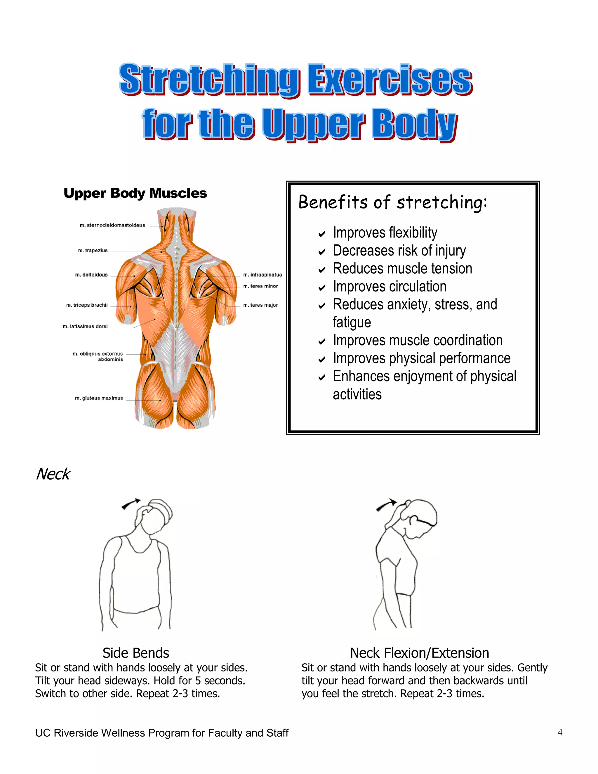 Stretches for lower and upper body | PDF