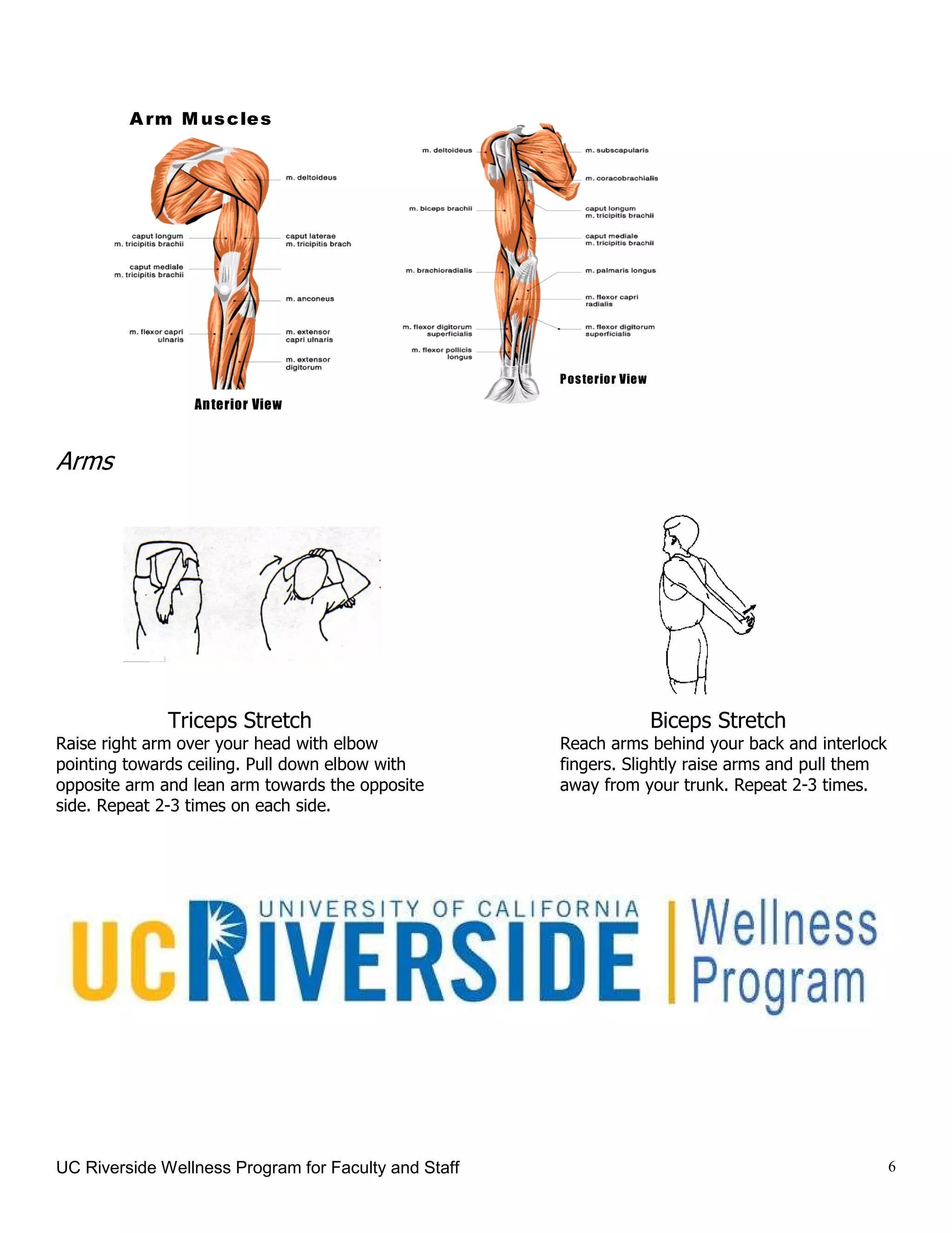 Stretches for lower and upper body | PDF