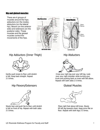 Leg Stretching Exercises Pdf