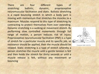 Stretching | PDF