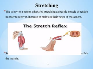 Stretching | PDF