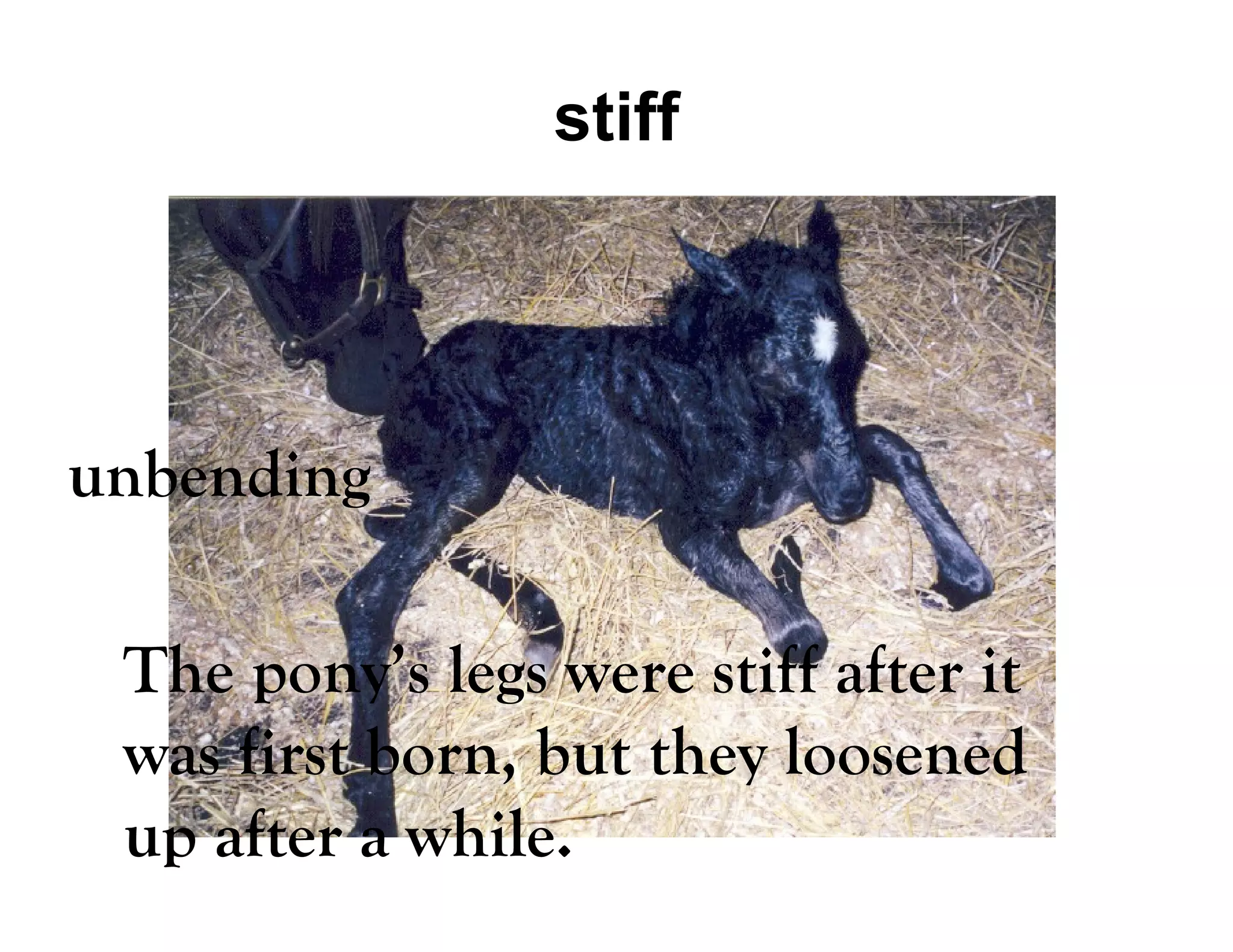 Stretching Ourselves | PPT