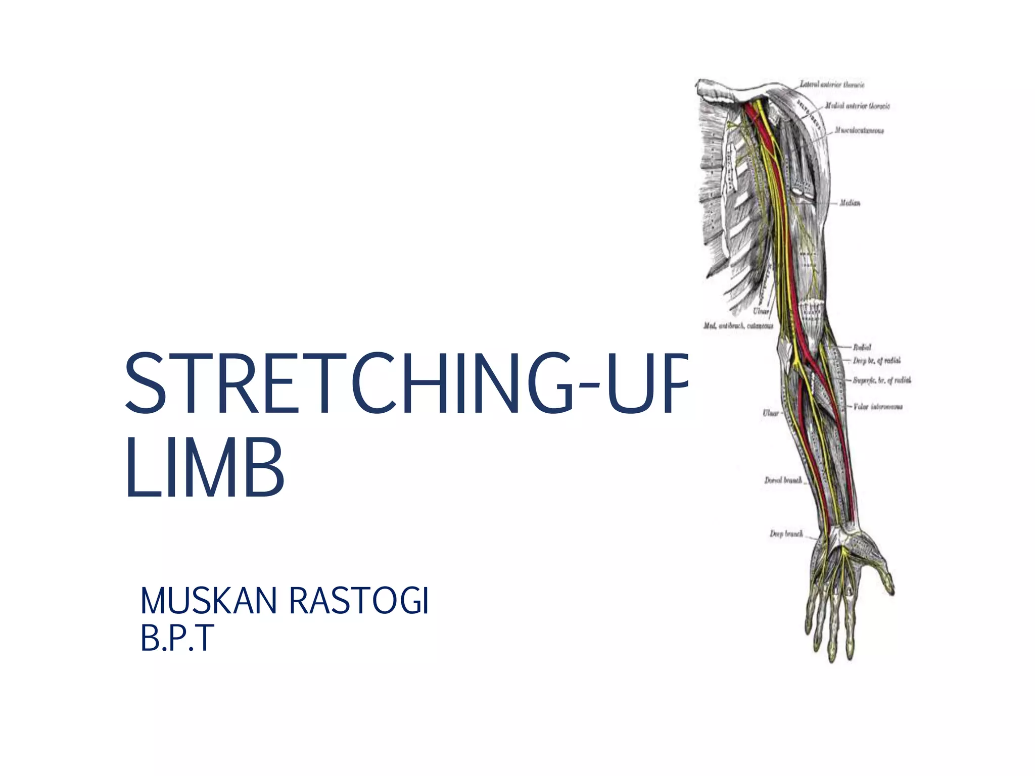 STRETCHING-UPPER LIMB.pptx