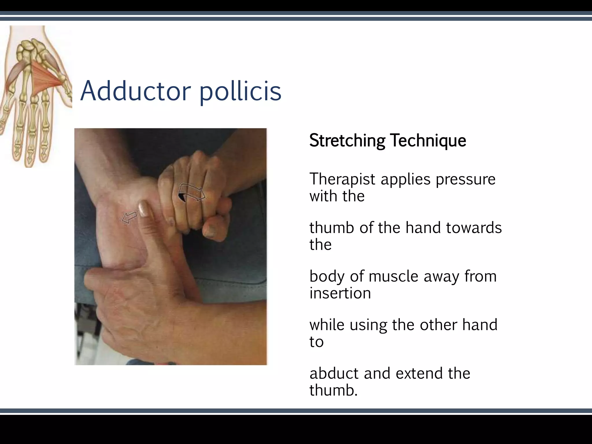 STRETCHING-UPPER LIMB.pptx