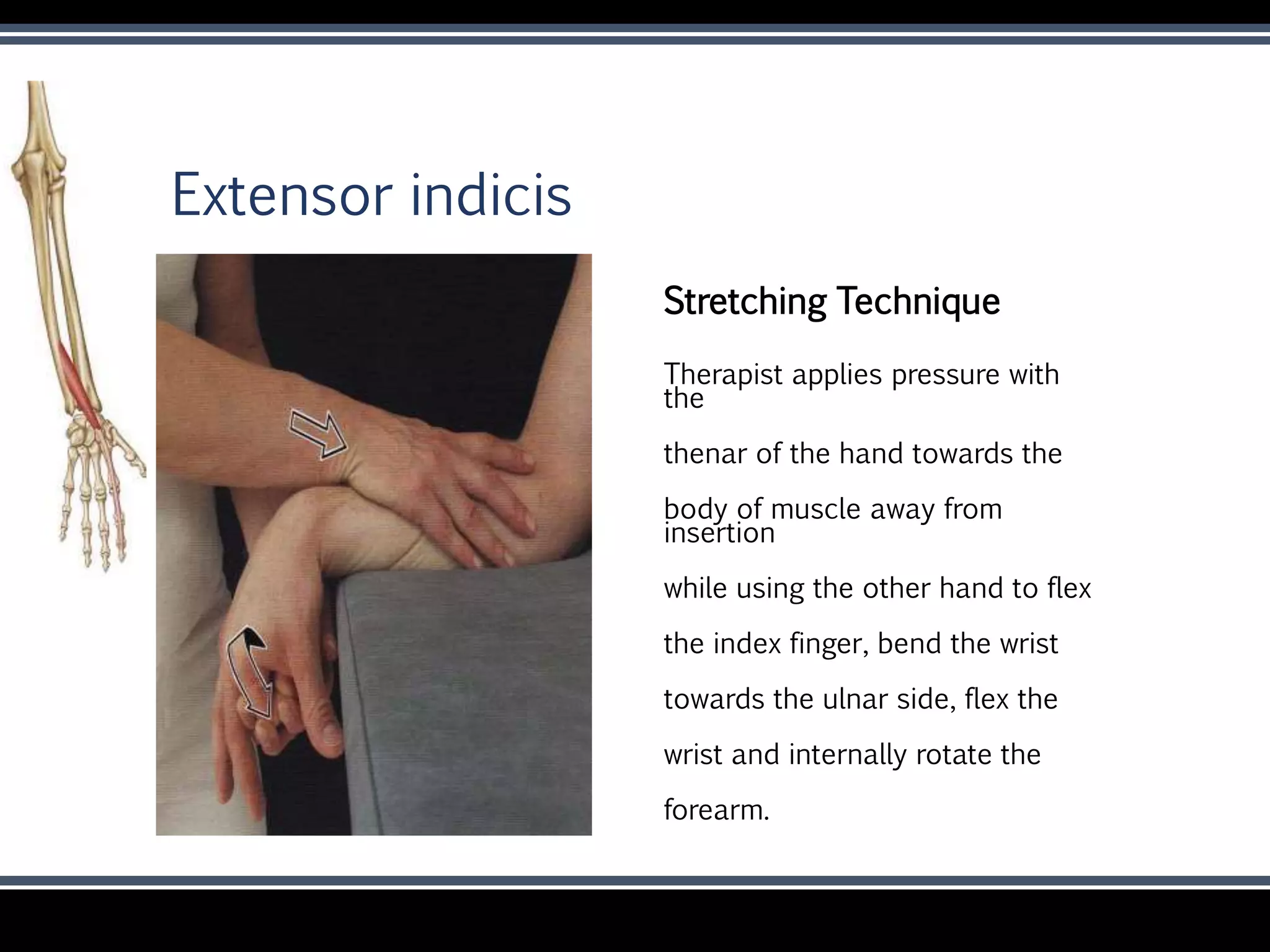 STRETCHING-UPPER LIMB.pptx @Dr.Muskan Rastogi (PT) BPT,MPT(OBG) | PPTX