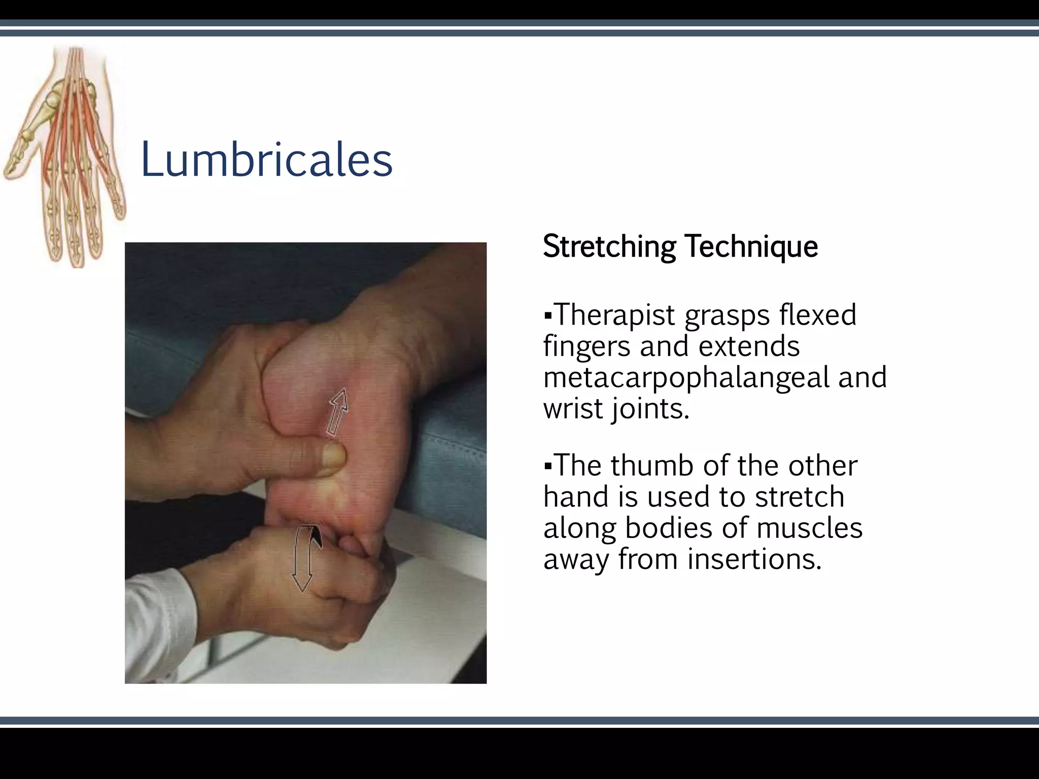 STRETCHING-UPPER LIMB.pptx @Dr.Muskan Rastogi (PT) BPT,MPT(OBG) | PPTX