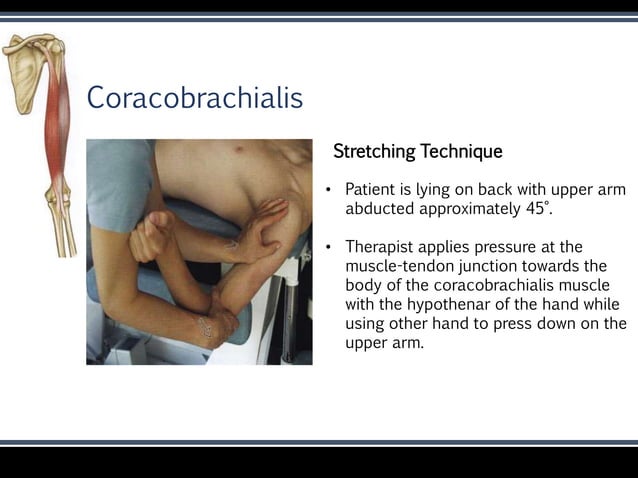 STRETCHING-UPPER LIMB.pptx