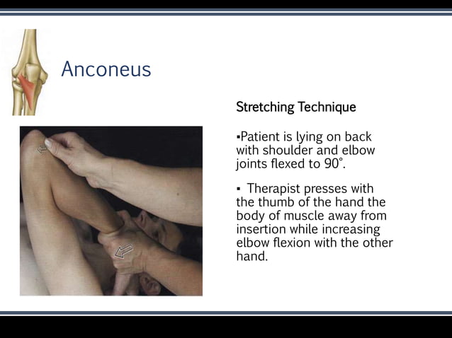 STRETCHING-UPPER LIMB.pptx