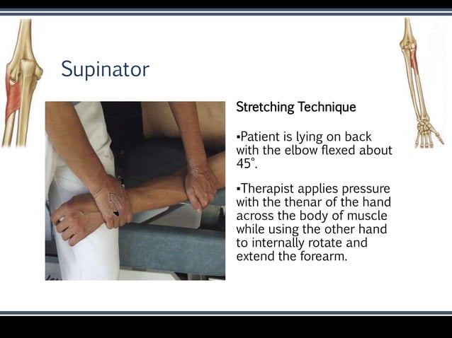 STRETCHING-UPPER LIMB.pptx