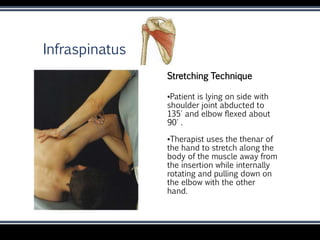 Subscapularis Stretch