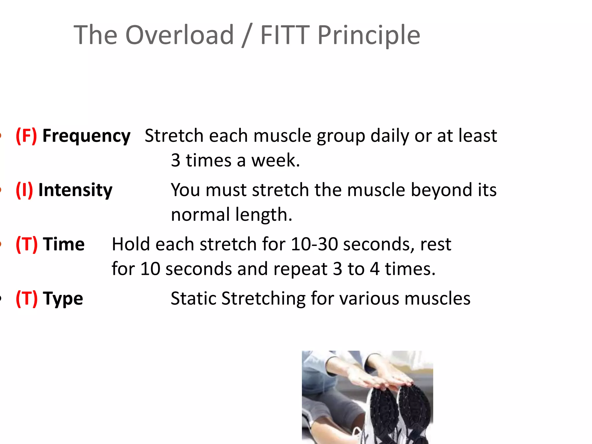 Stretching Exercises.ppt