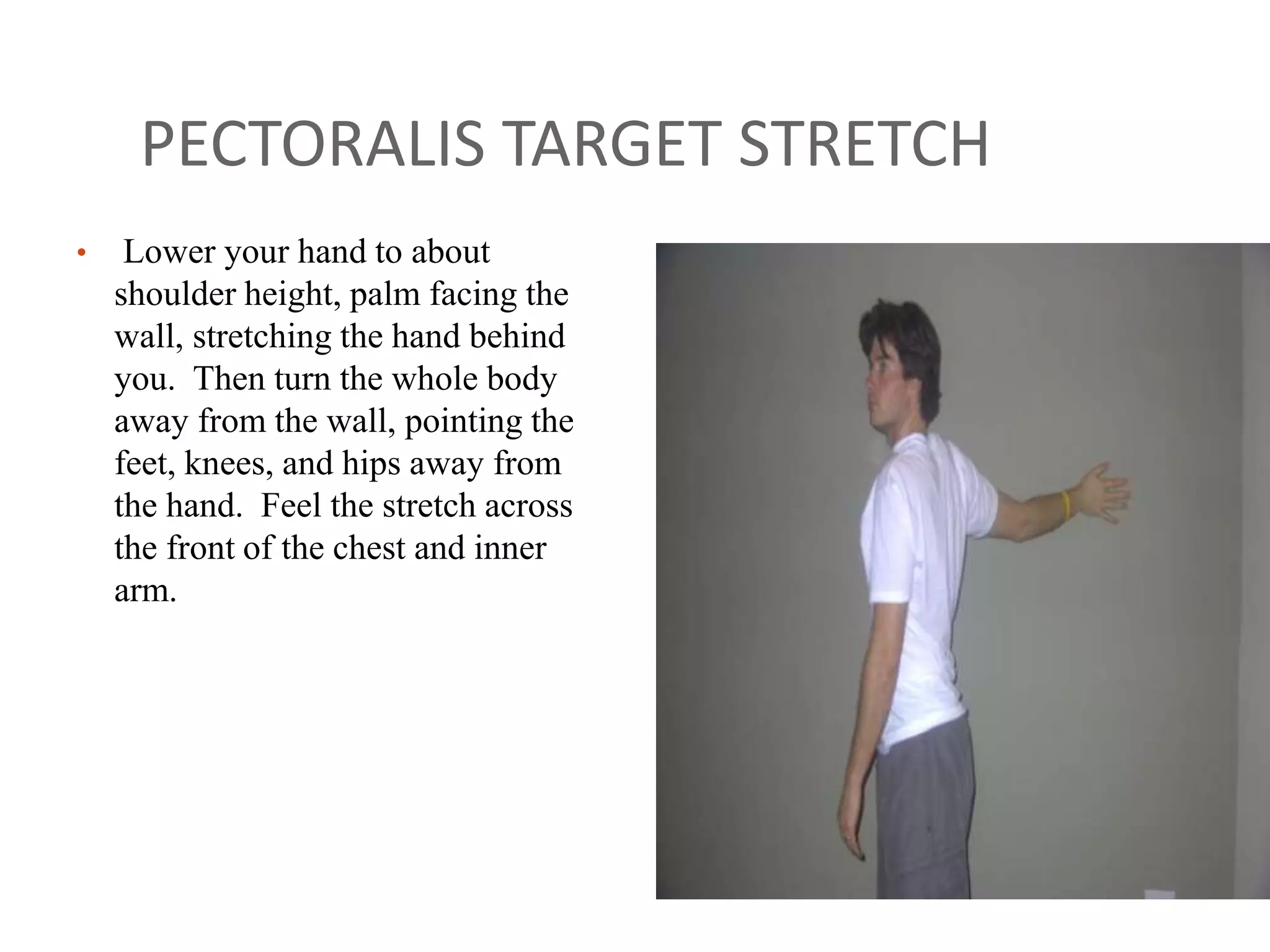 Stretching Exercises.ppt