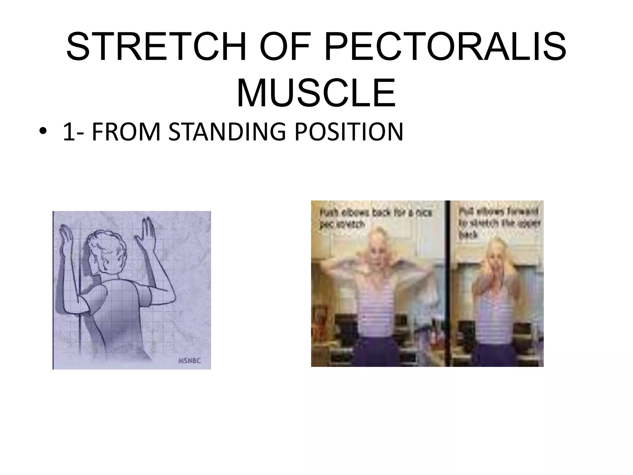 Stretching Exercises.ppt